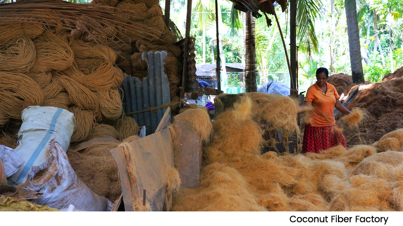 Sri Lanka Day Tours : Sri Lanka Senuvi Tours